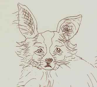 Adolfo Riestra. Obra Grafica a la venta "Perro Pequines y Perro ...