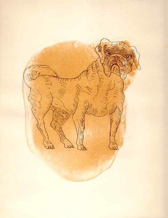 Adolfo Riestra. Obra Grafica a la venta "Perro Pug". Articulo.